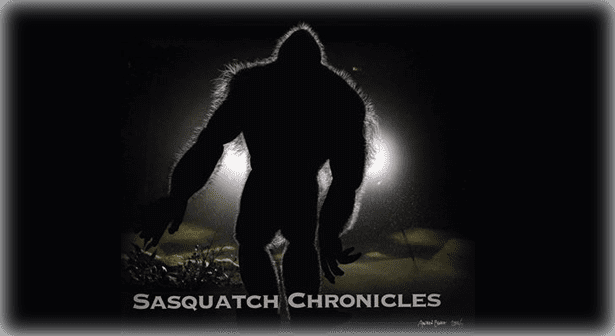 Home - Sasquatch Chronicles