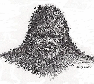 Ongoing accounts with a screaming ape-like creature - Sasquatch Chronicles