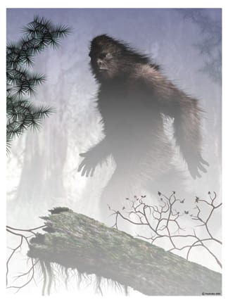 Amazing Sasquatch encounter - Sasquatch Chronicles