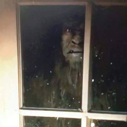 SC EP:97 The Chicken Man - Sasquatch Chronicles