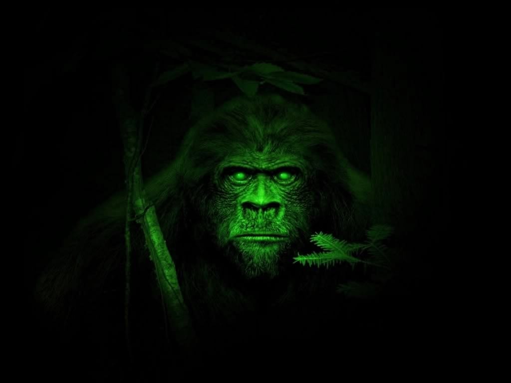 East Texas Encounter - Sasquatch Chronicles