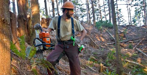 Friday Night: A loggers encounter - Sasquatch Chronicles