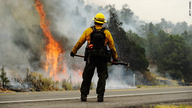 Doctor's Save A Burned Creature From Fire - Sasquatch Chronicles