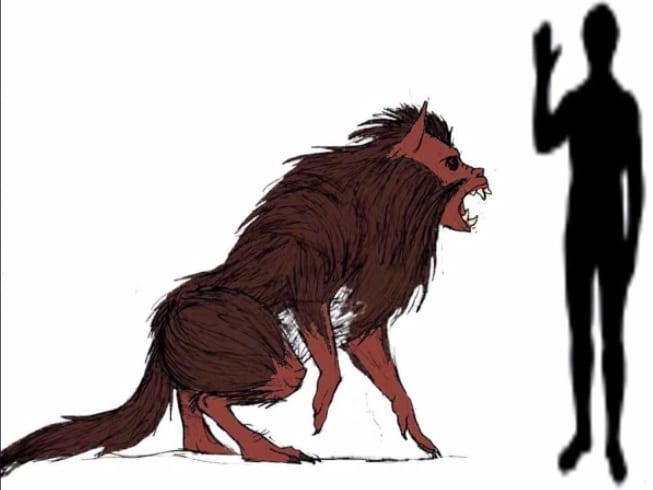 Cryptids and Monsters: Devil Monkey - Sasquatch Chronicles