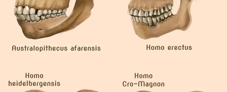 Sundays Show: Early hominids and great apes - Sasquatch Chronicles