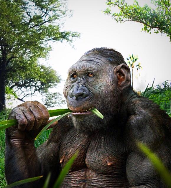 The Bigfoot Giganto Correlation - Sasquatch Chronicles