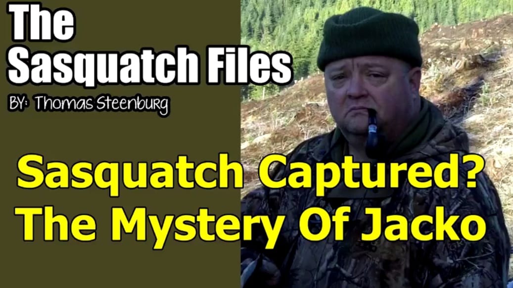 The Mystery Of Jacko - Sasquatch Chronicles