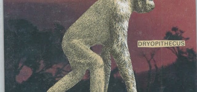 Dryopithecus - Sasquatch Chronicles