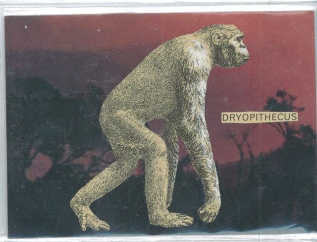 Dryopithecus - Sasquatch Chronicles