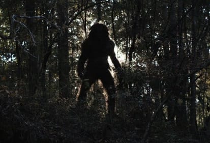 Sounds Compilation - 10 Clips - Sasquatch Chronicles