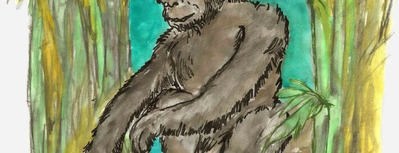 The Amomongo - Sasquatch Chronicles