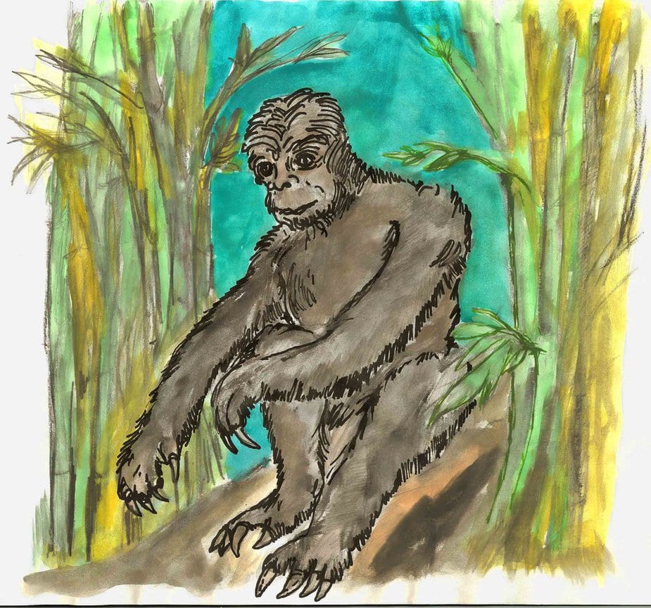 The Amomongo - Sasquatch Chronicles