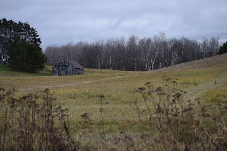 The Duluth Dogman - Sasquatch Chronicles