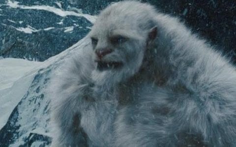 Body not found, but scientists 95% sure Yetis are real - Sasquatch ...
