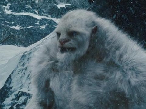 Body not found, but scientists 95% sure Yetis are real - Sasquatch ...