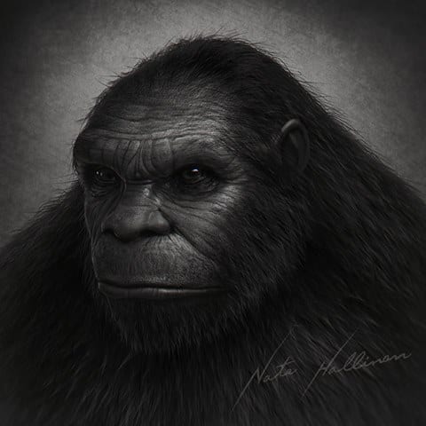 North Florida Howl - Sasquatch Chronicles