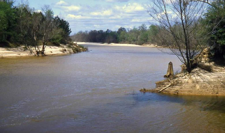 Sabine River Sasquatch - Sasquatch Chronicles