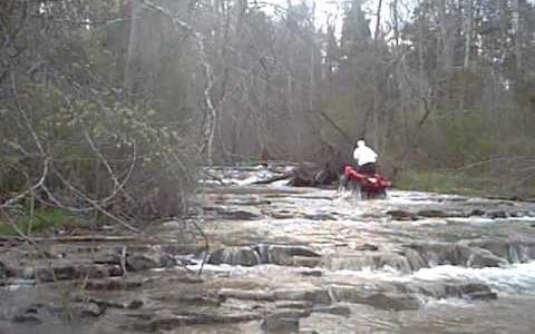 The Beast Of Gum Hill - Sasquatch Chronicles