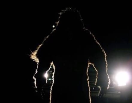 Dixie Cryptid: The Presidents Island Incident - Sasquatch Chronicles