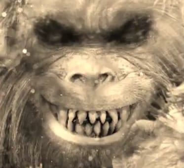 Man describes an encounter a Genoskwa - Sasquatch Chronicles