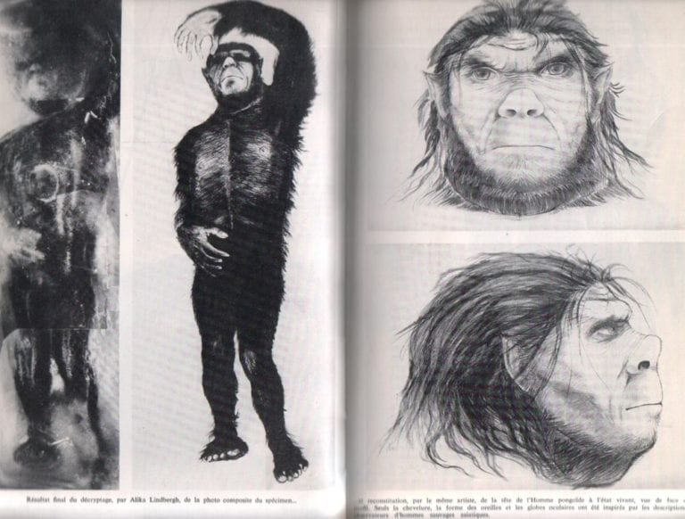 A Brief History Of The Minnesota Iceman - Sasquatch Chronicles