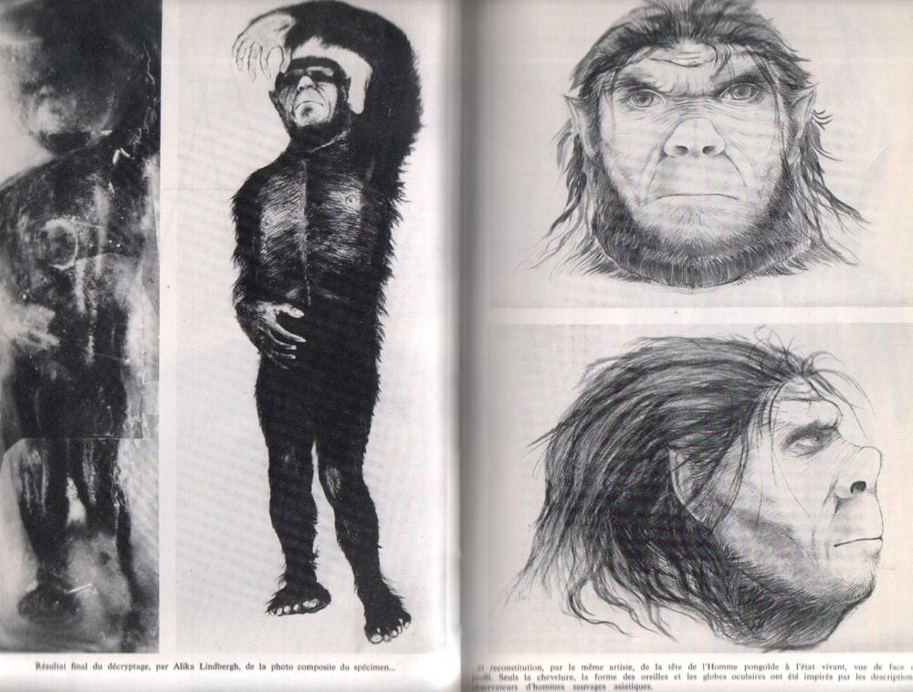 A Brief History Of The Minnesota Iceman - Sasquatch Chronicles