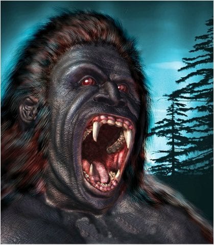 It Had A Nervous Look About It - Sasquatch Chronicles