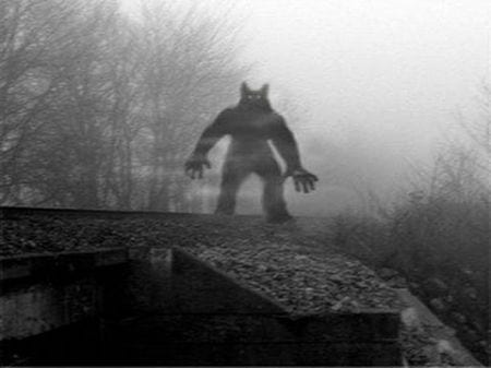 Tonight's Show: Body of a wolf and the face of a baboon - Sasquatch ...