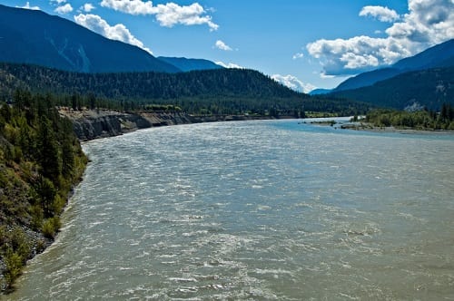 Encounter near the Fraser River - Sasquatch Chronicles
