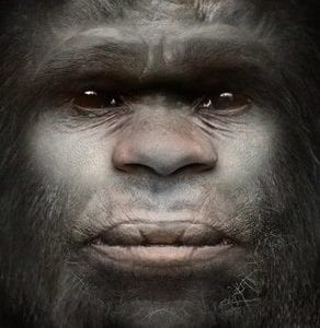 The Tennessee Wildman: Seen for over 150 Years - Sasquatch Chronicles