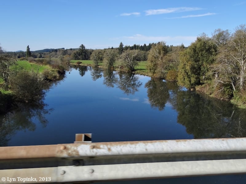 The creature turned and was out of sight - Sasquatch Chronicles