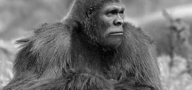 1904 - (Thompson Flat Monster) Myrtle Point, Oregon - Sasquatch Chronicles