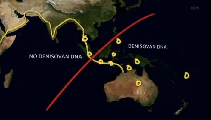 Neanderthal and Denisovan Genomes - Sasquatch Chronicles