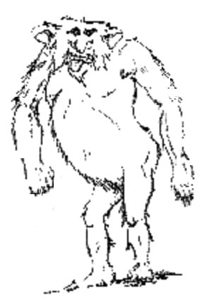 The Bardin Booger - Sasquatch Chronicles