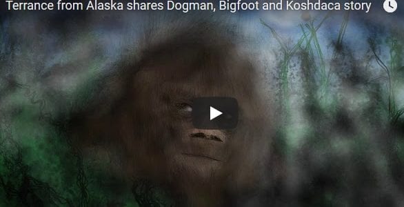 Terrance from Alaska shares his Dogman sighting - Sasquatch Chronicles