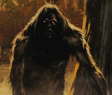 Encounters with the Boggy Creek Monster - Sasquatch Chronicles