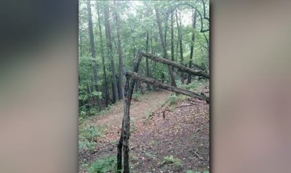 The hunt for Bigfoot - Sasquatch Chronicles