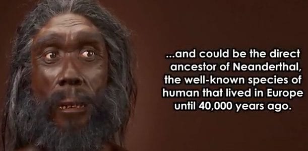 10 Mysterious Extinct Human Species - Sasquatch Chronicles