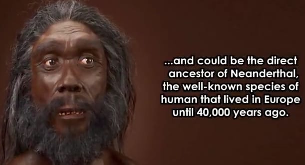 10 Mysterious Extinct Human Species - Sasquatch Chronicles