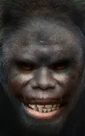 A face of a demented monkey - Sasquatch Chronicles