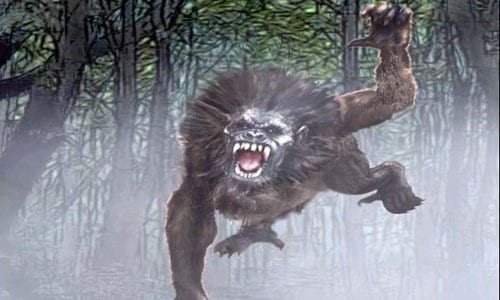 Devil Monkeys - Sasquatch Chronicles