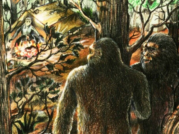 Yowie Sighting at Torbanlea, Queensland - Sasquatch Chronicles
