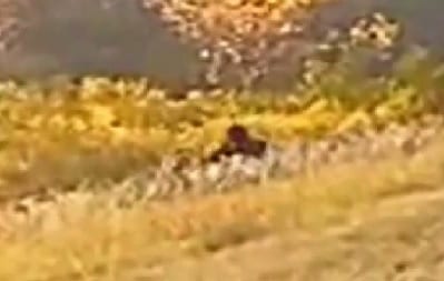 Mountain Beast Mysteries: Craven Video - Sasquatch Chronicles