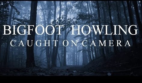 Texas Bigfoot Howl - Sasquatch Chronicles