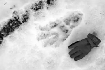 Dogman and Yowie Tracks - Sasquatch Chronicles