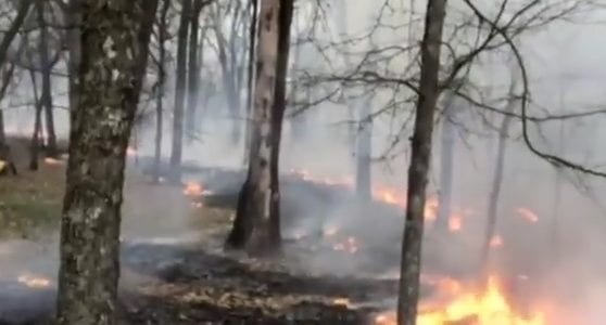 Bigfoot Tony: Was that a Sasquatch running from fire? - Sasquatch ...