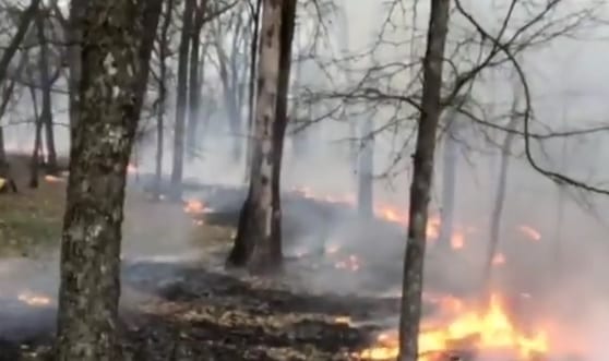 Bigfoot Tony: Was that a Sasquatch running from fire? - Sasquatch ...