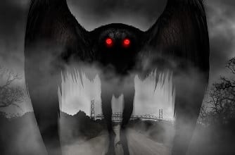 Strange Creature In The Sky - Sasquatch Chronicles