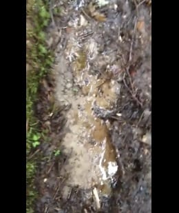 I found a Bigfoot print on Mount Washington New Hampshire - Sasquatch ...