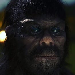 We Locked Eyes - Sasquatch Chronicles